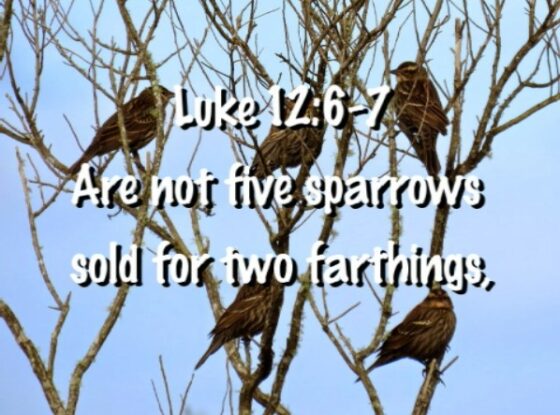 Christianity Every Day