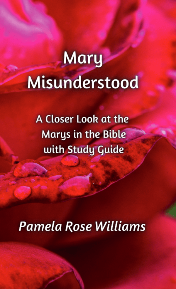 Was the Virgin Mary Without Sin? - Christianity Every Day