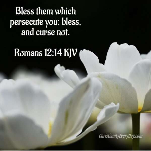 Free Bible Scriptures with Pictures | Christianity Every Day | Download ...